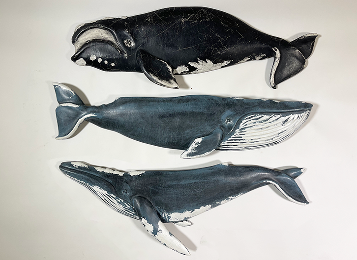 Baleen Whales – Nantucket Whales