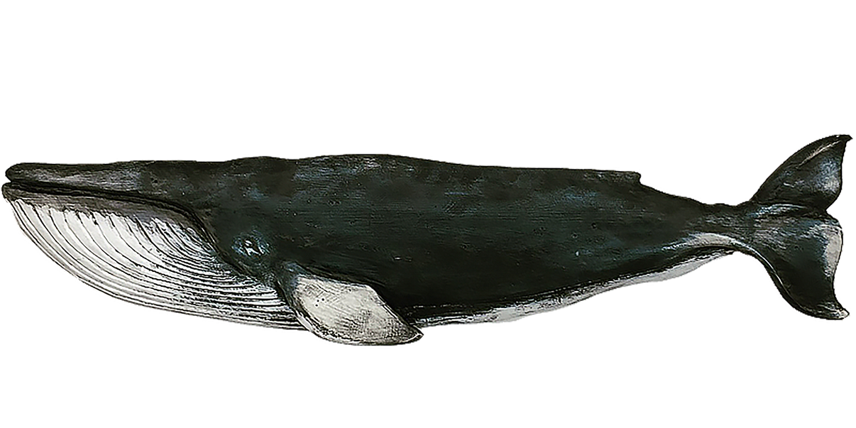 36” Finback – Nantucket Whales